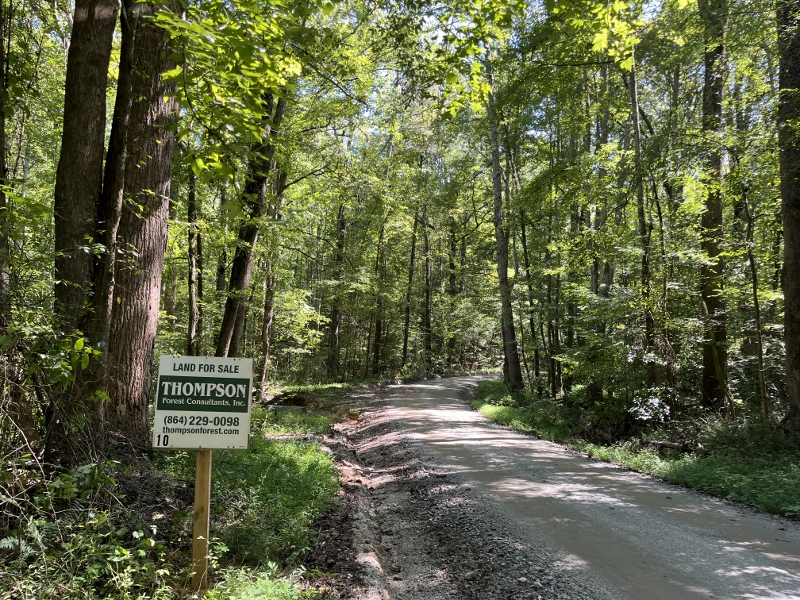 Land For sale, Abbeville County South Carolina